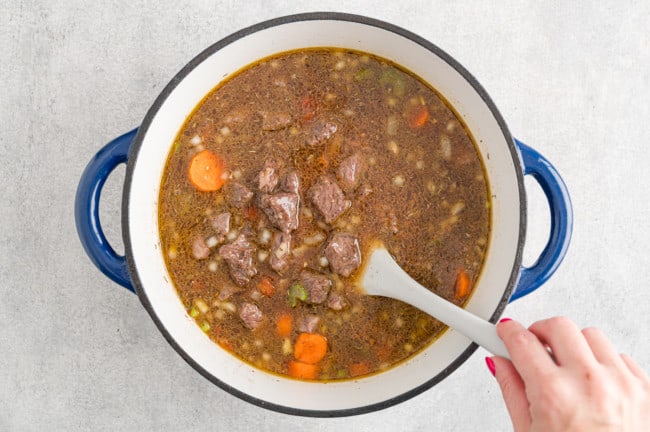 Beef Barley Soup Recipe - Rachel Cooks®
