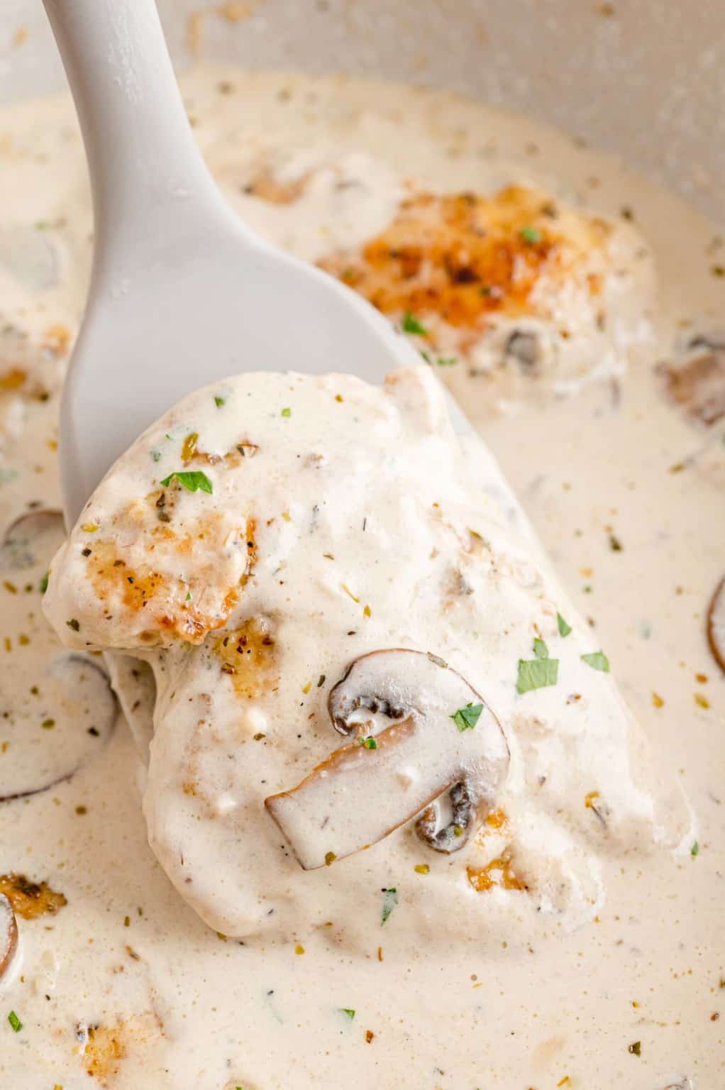 Creamy Chicken Marsala - Rachel Cooks®