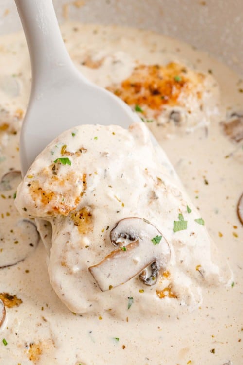 Creamy Chicken Marsala - Rachel Cooks®
