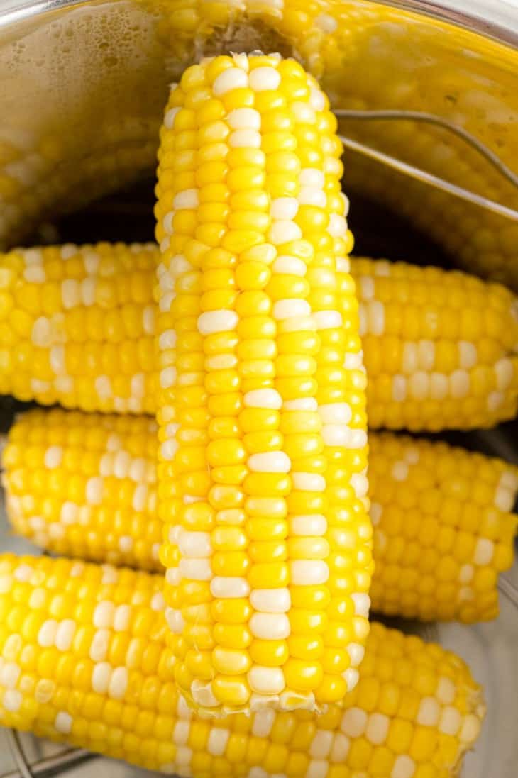 Instant Pot Corn on the Cob Recipe - Rachel Cooks®