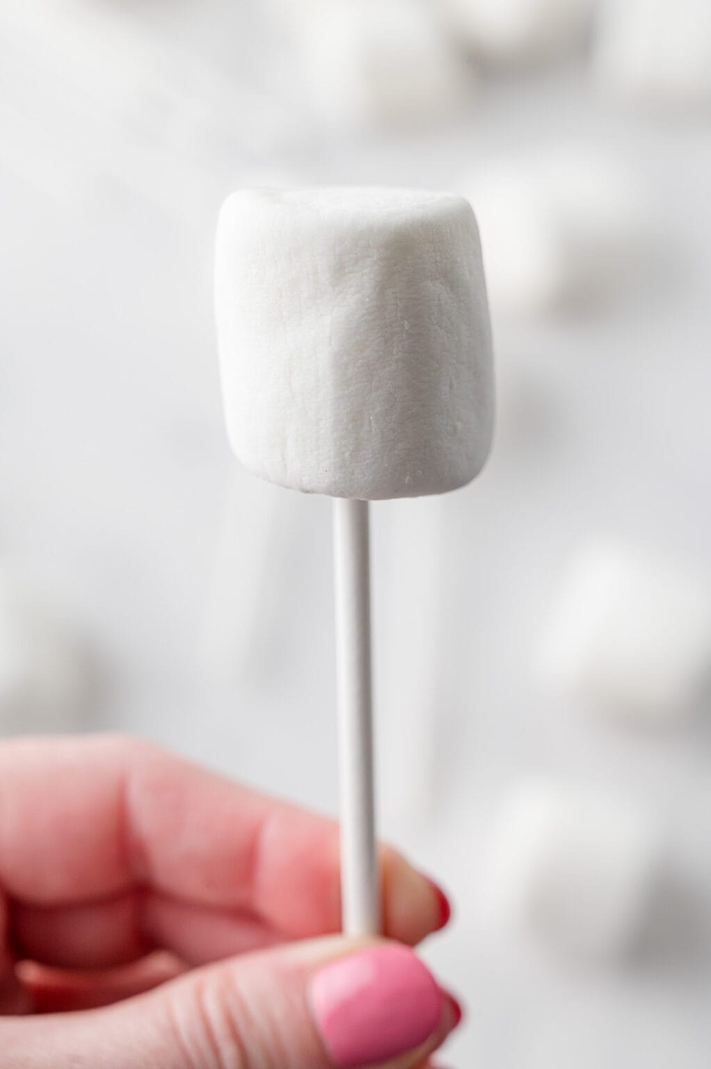 Chocolate Covered Marshmallows Recipe - Rachel Cooks®