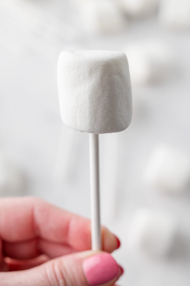 Chocolate Covered Marshmallows Recipe - Rachel Cooks®