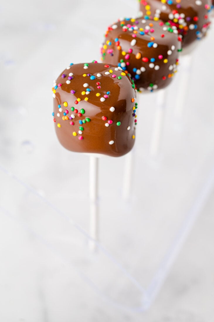 Chocolate Covered Marshmallows Recipe - Rachel Cooks®