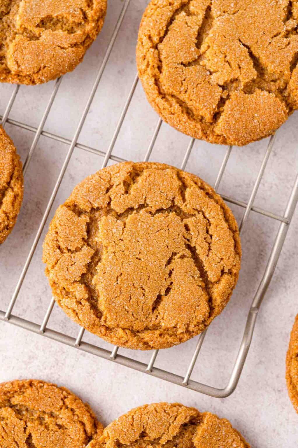Gingersnaps Recipe - Rachel Cooks®