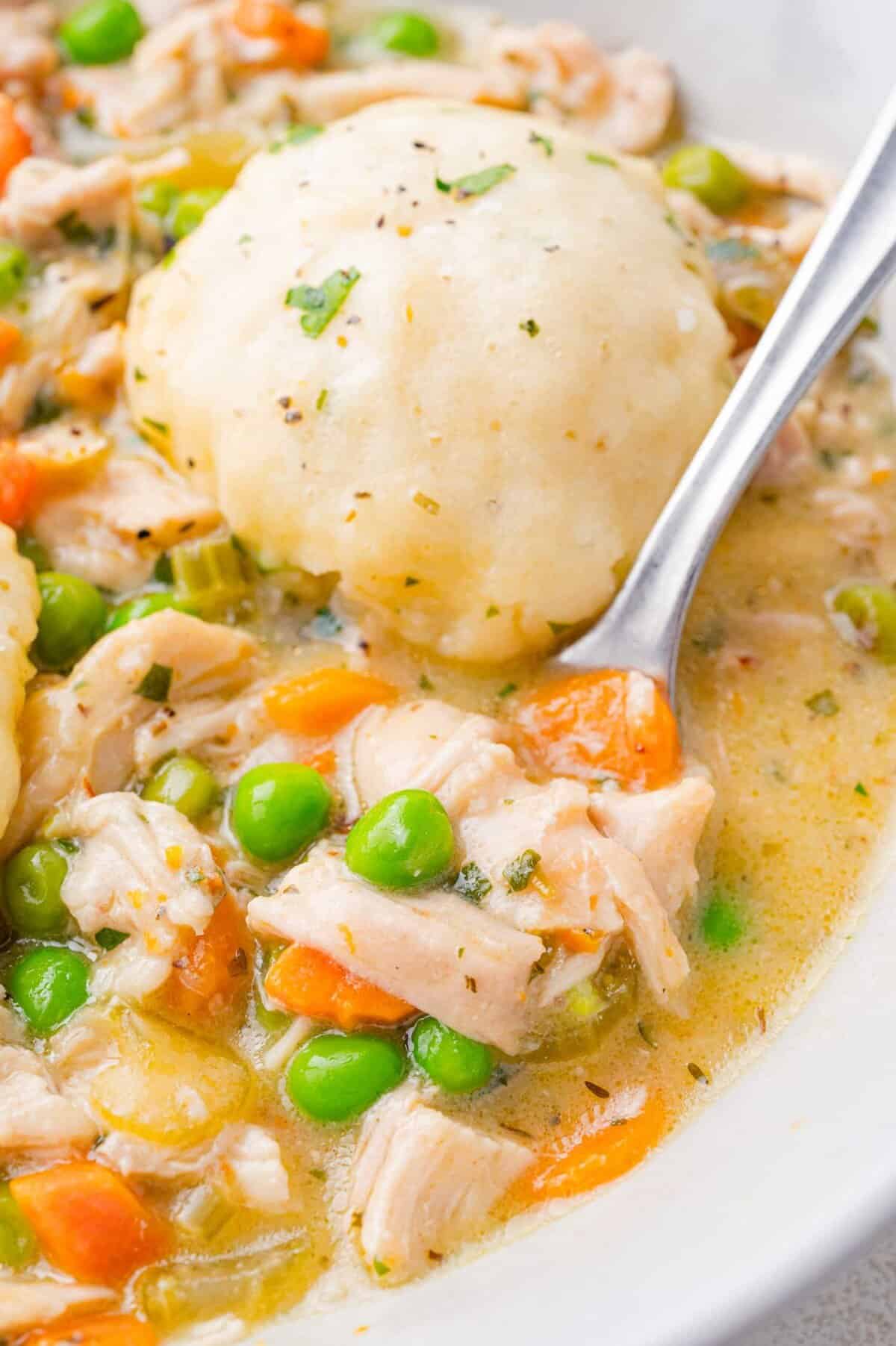 Chicken Dumpling Soup